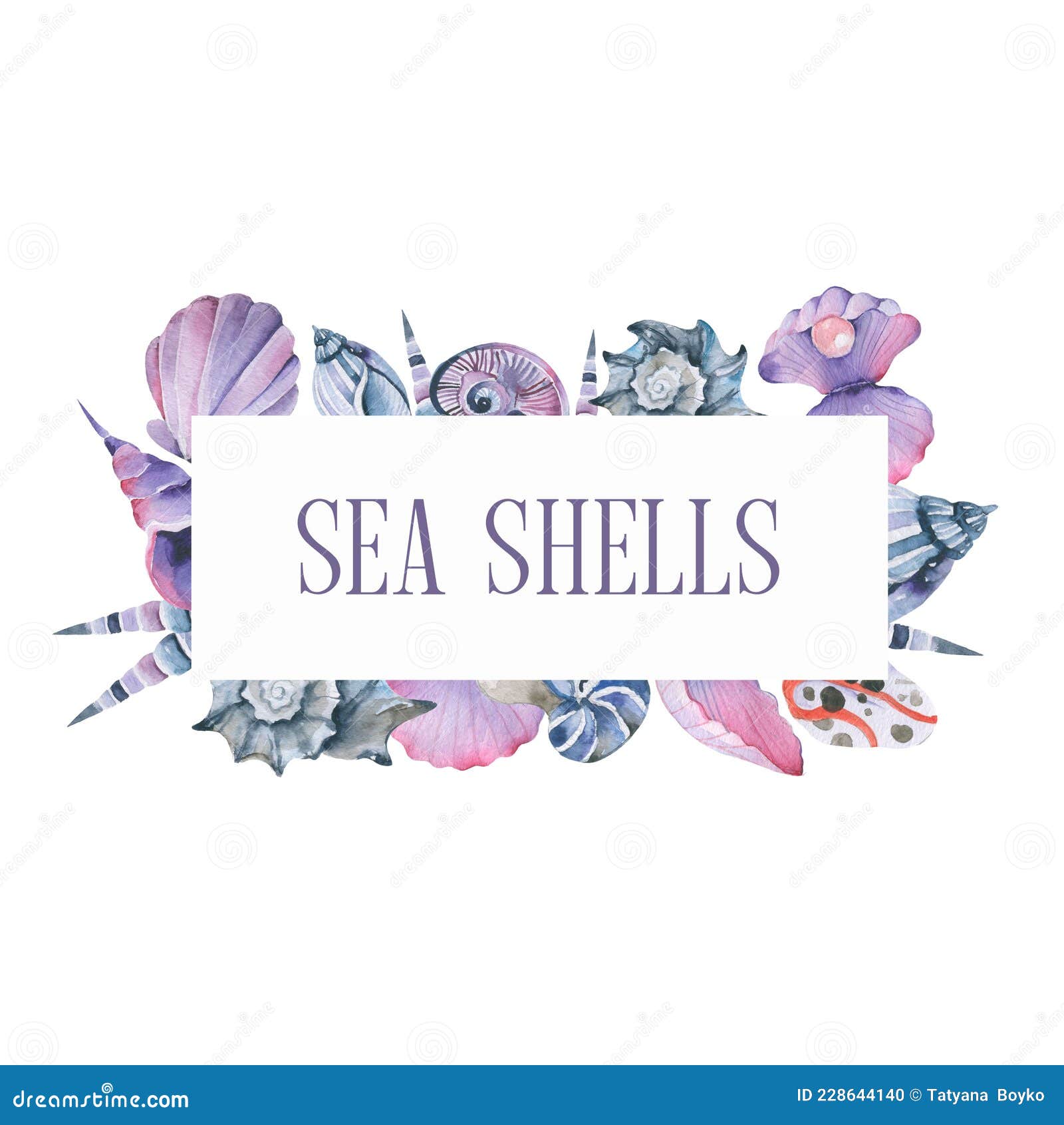 Summer Header with Seashells and Starfishes Seaside Illustration on a ...