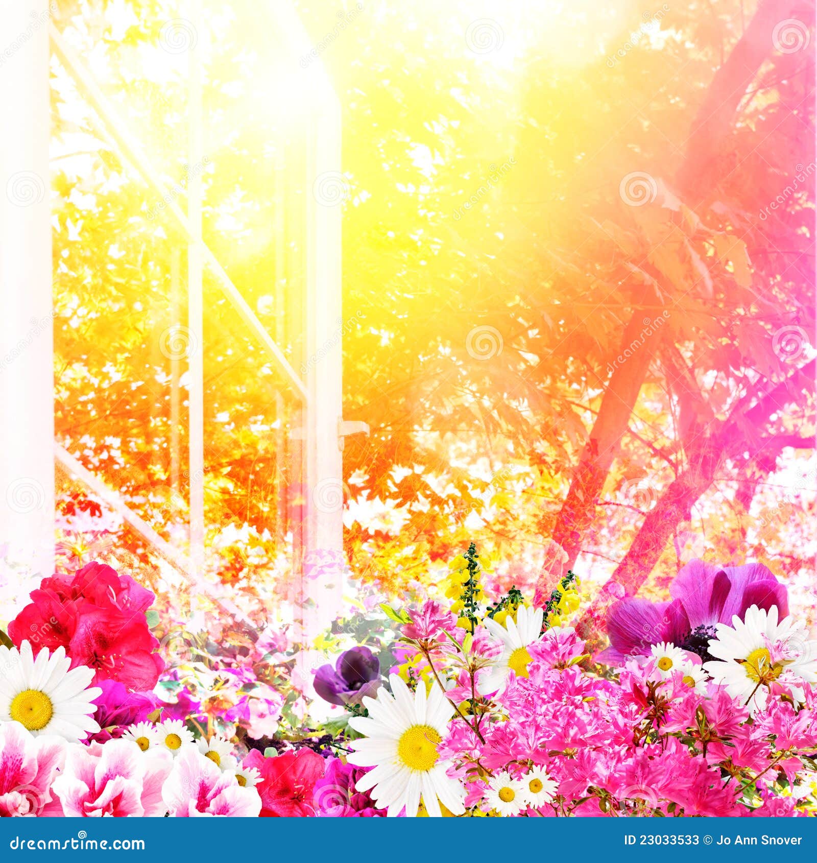 Summer heat and blooms stock image. Image of tree, azalea - 23033533