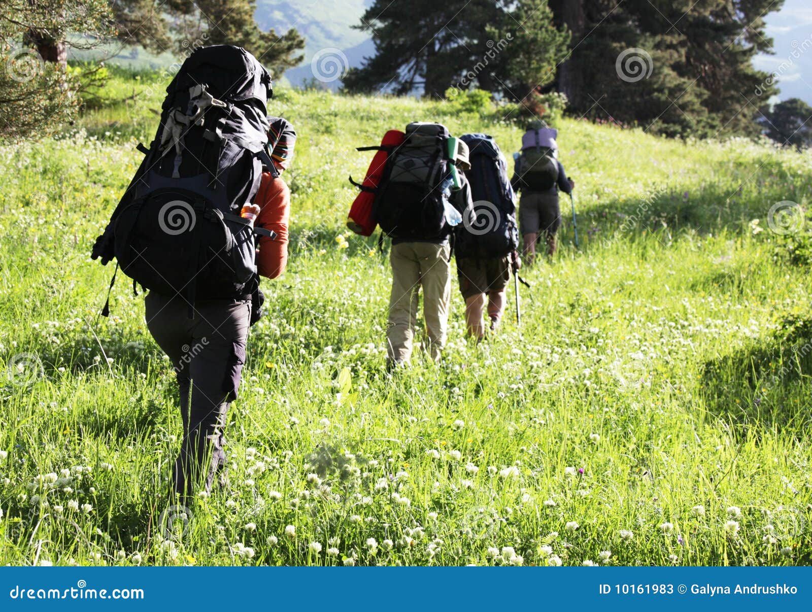 Summer hike stock image. Image of spring, adventure, backpacking - 10161983