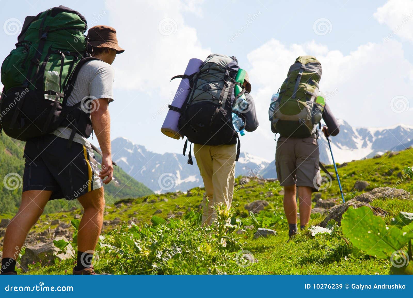 Summer hike stock image. Image of nature, hiker, flores - 10276239