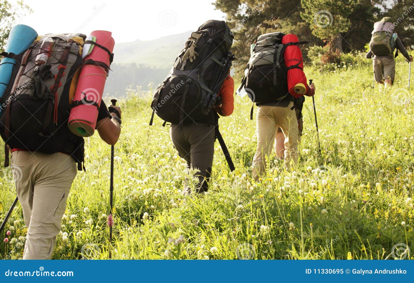 Summer hike stock image. Image of hiker, trekking, grass - 11330695
