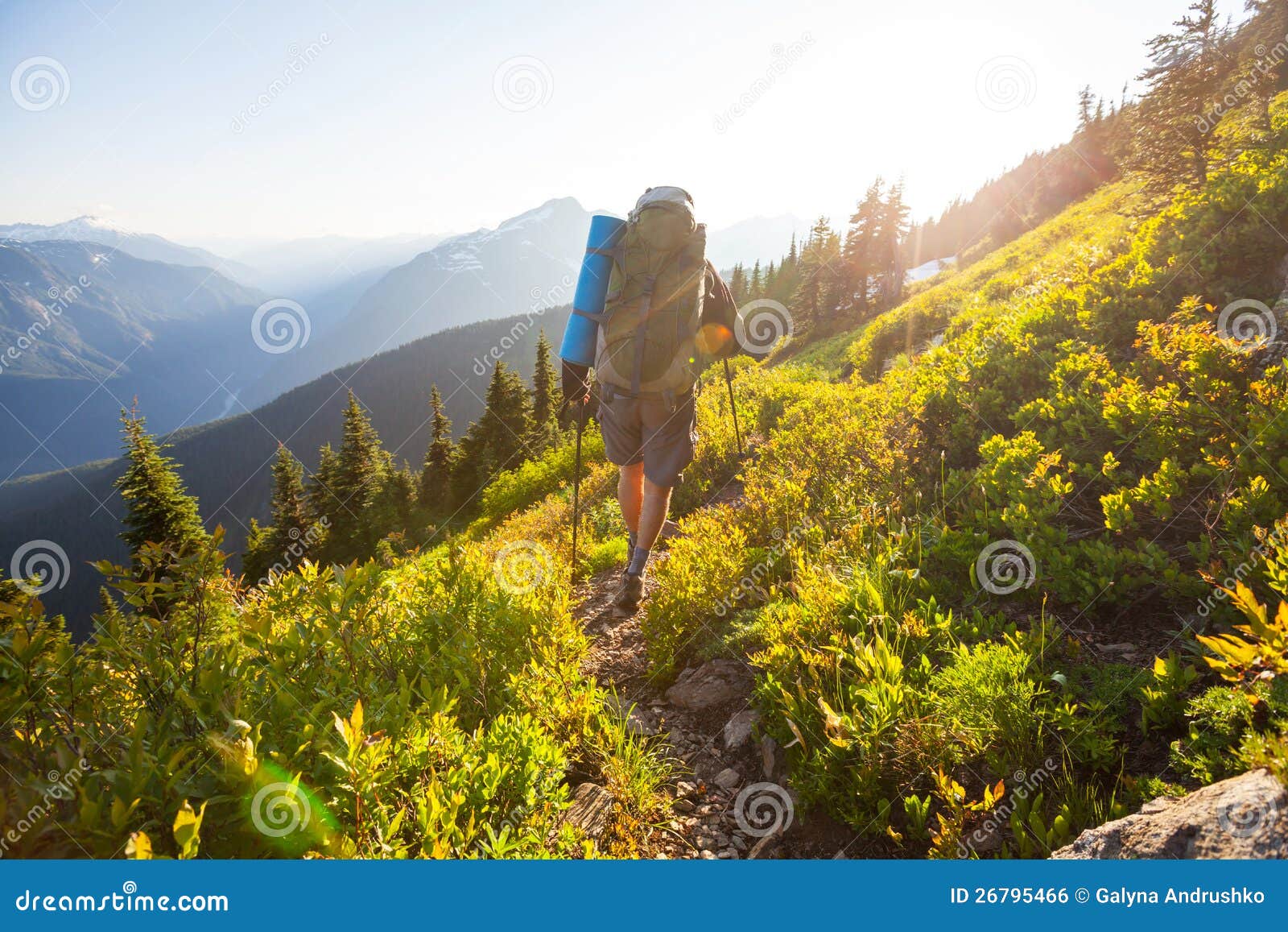 Summer hike stock photo. Image of path, meadow, grassland - 26795466