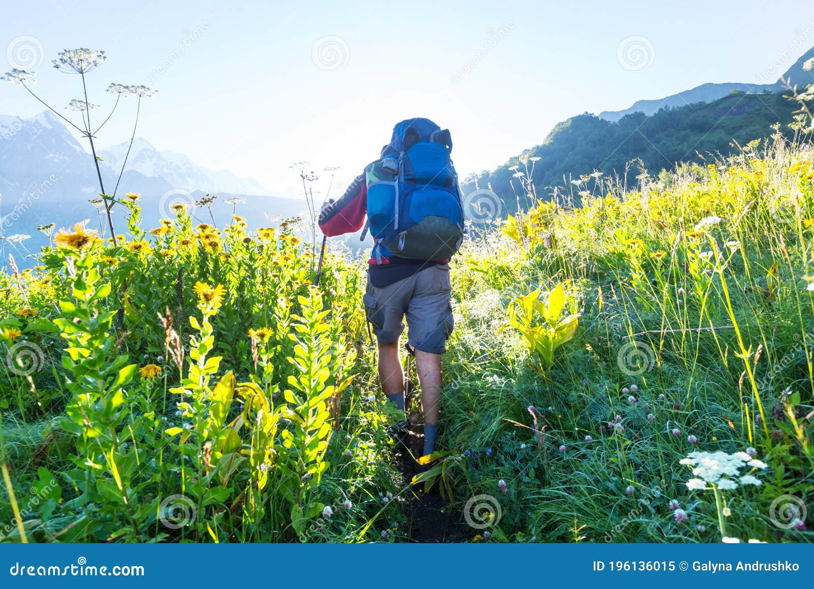 Summer hike stock image. Image of path, grass, leisure - 196136015