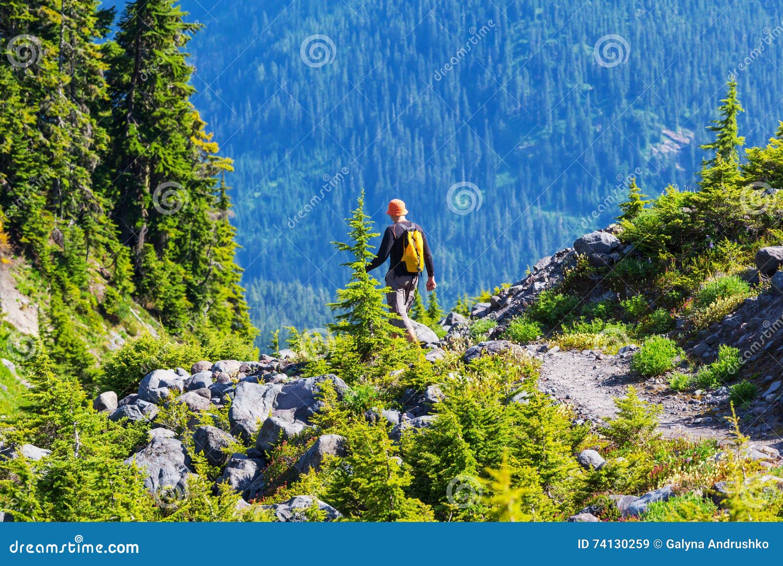 Summer hike stock image. Image of trekking, view, adventure - 74130259