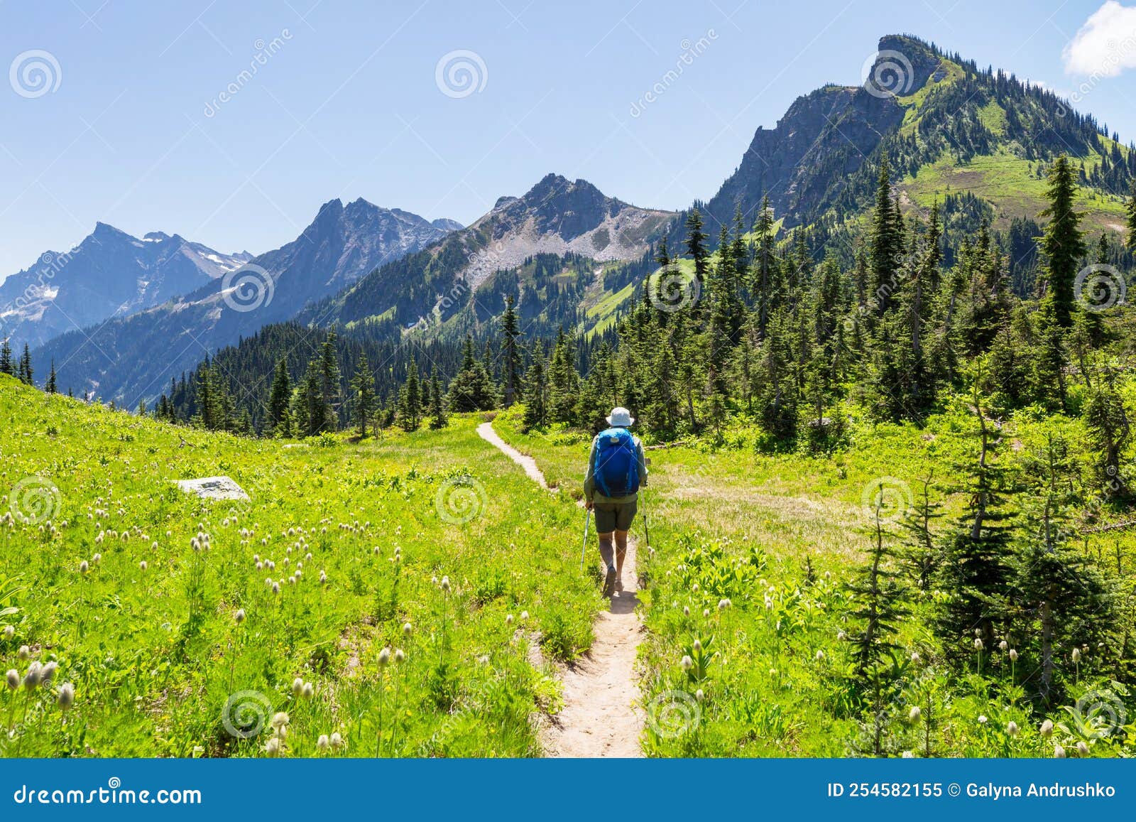 Summer hike stock image. Image of tourist, tourism, flowers - 254582155