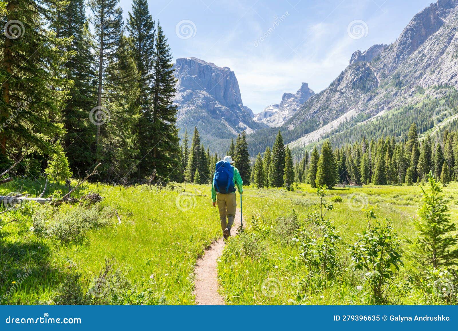 Summer hike stock image. Image of meadow, trail, nature - 279396635