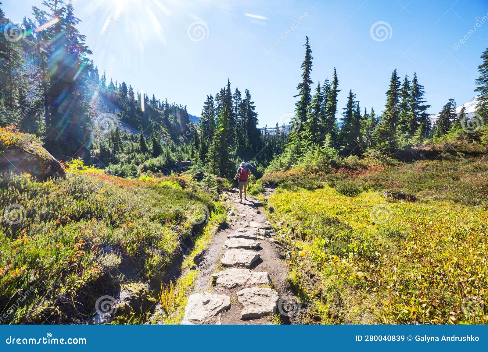 Summer hike stock image. Image of trekking, trip, nature - 280040839