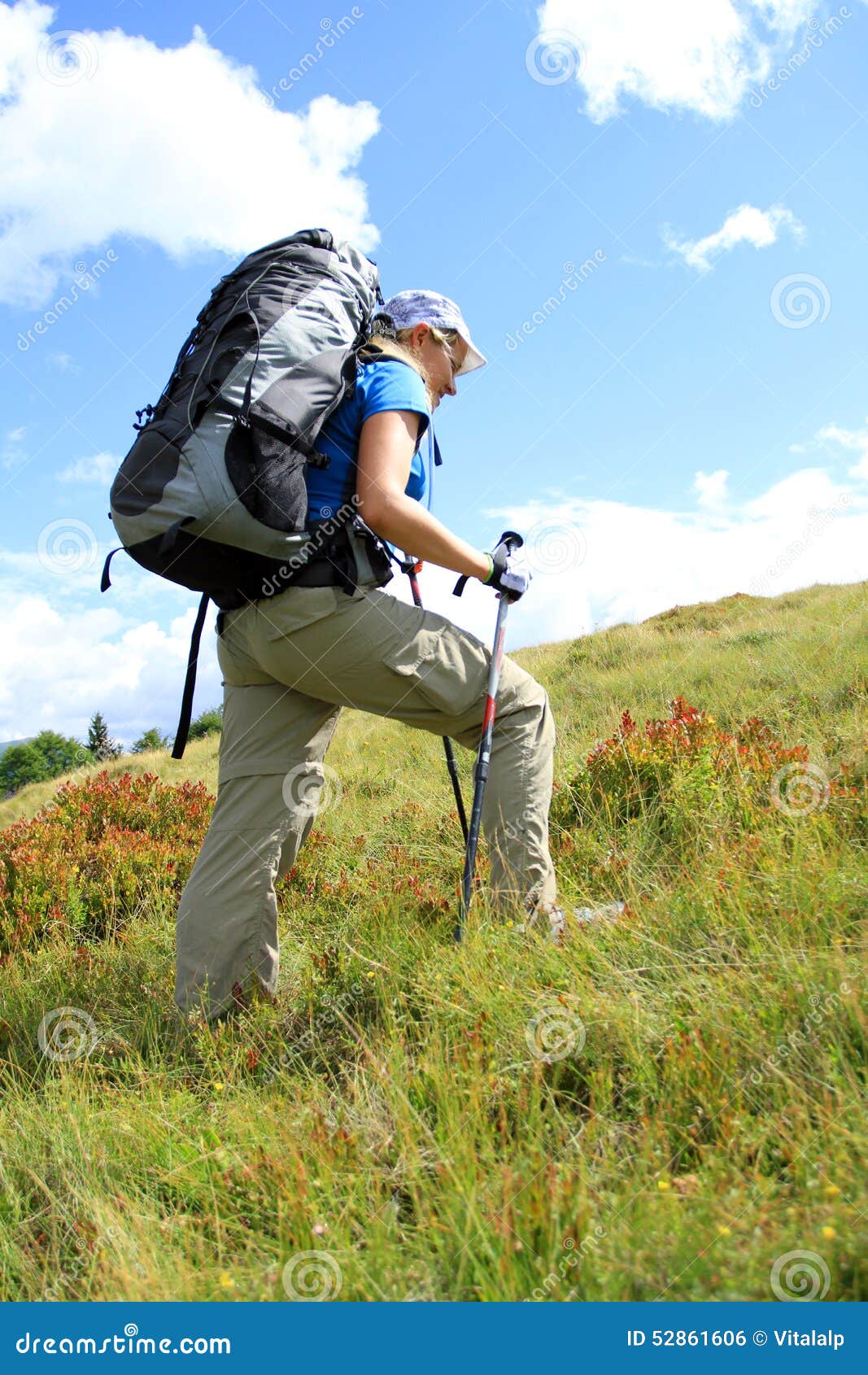 Summer Hiking in the Mountains. Stock Photo - Image of forest ...
