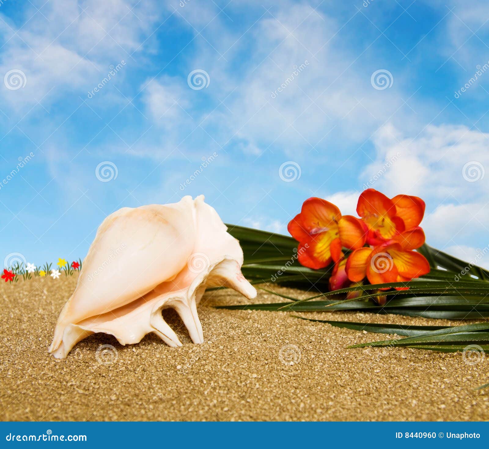 Summer Holidays with Seashell Over Blue Sky Stock Photo - Image of ...