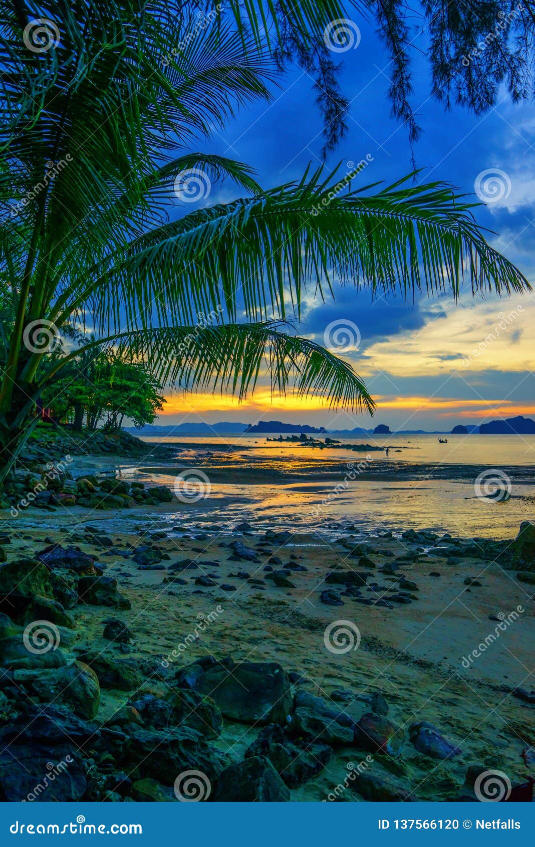 Tropical beach at sunset stock photo. Image of krabi - 137566120