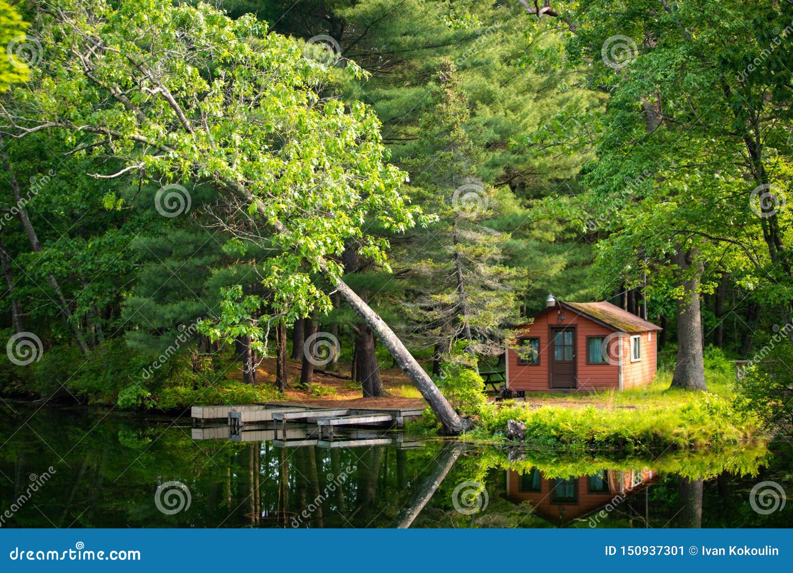 Summer Home Cabin in the Woods at the Lake Stock Image - Image of ...