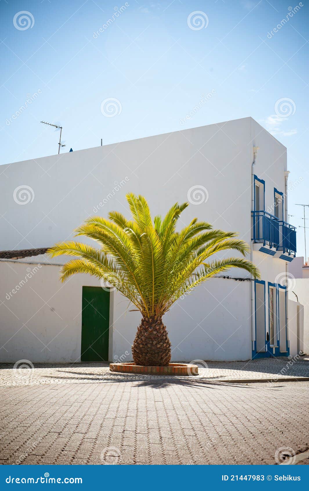 33,514 Beautiful House Palm Tree Stock Photos - Free & Royalty-Free ...
