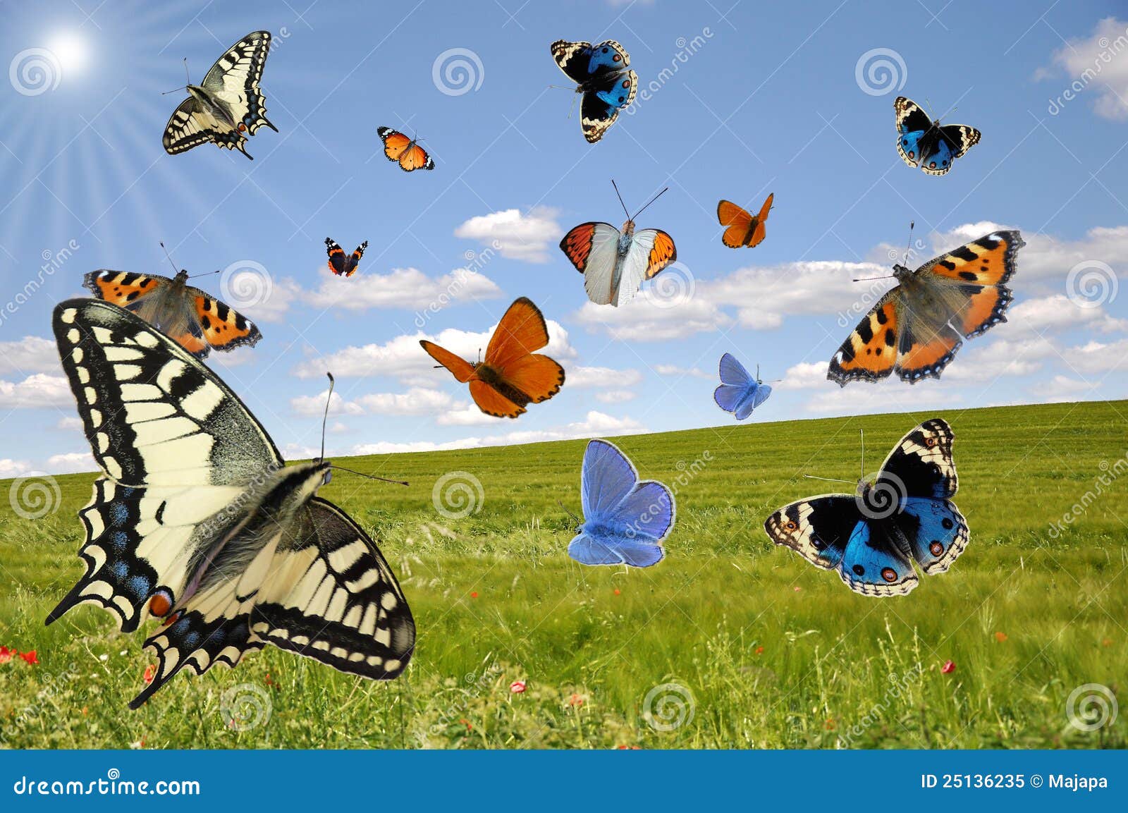 Summer idyll stock image. Image of animal, green, landscape - 25136235