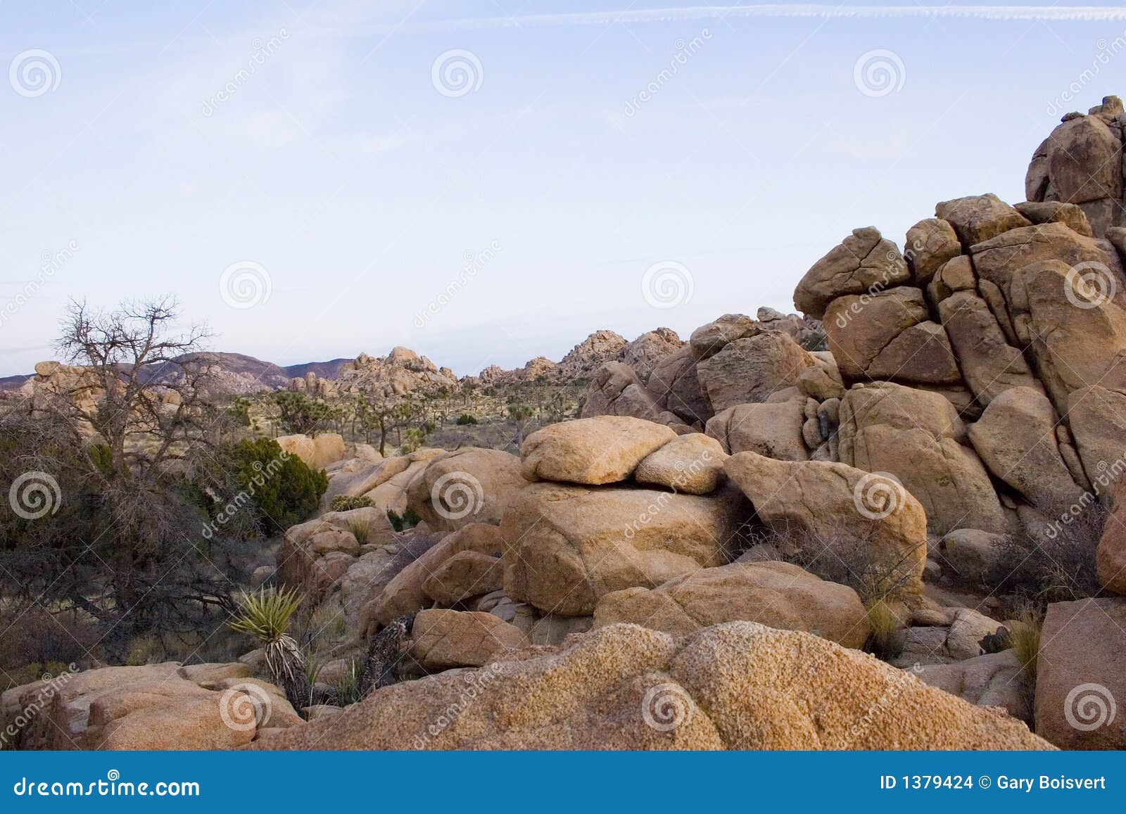 Summer in Joshua Tree,Ca stock photo. Image of mountains - 1379424