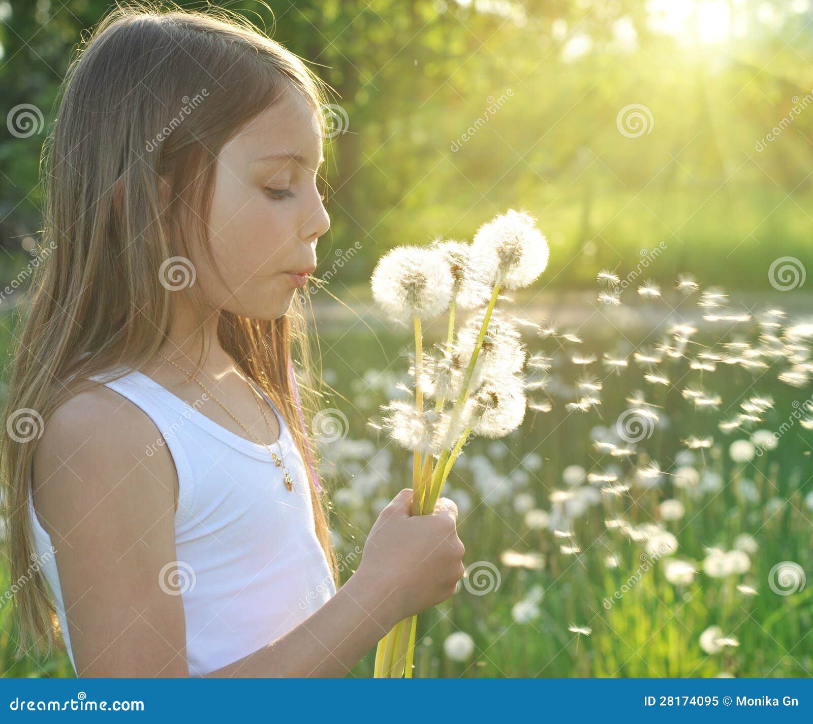 Summer joy stock image. Image of play, plant, people - 28174095