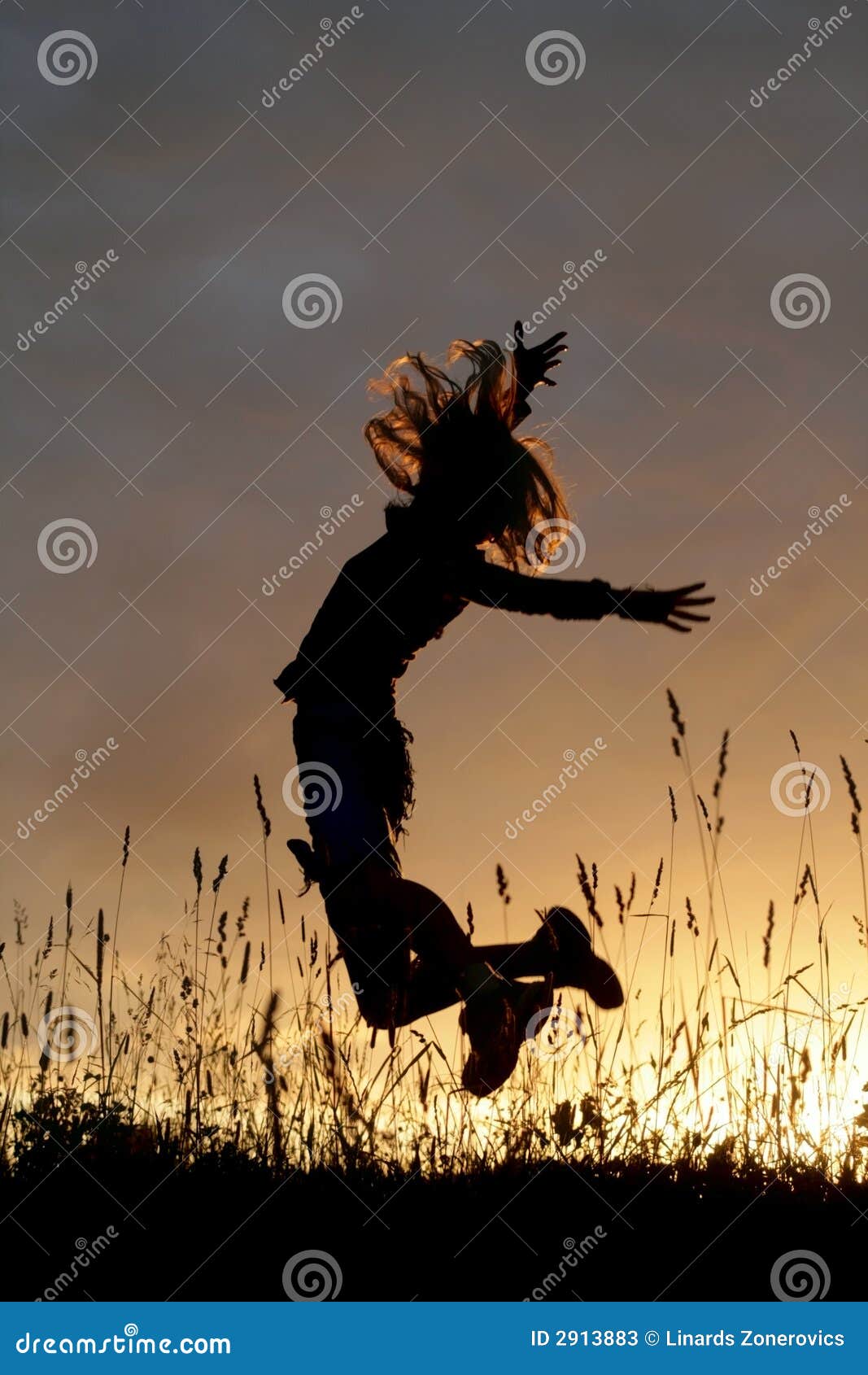 Summer joy stock image. Image of sunset, hair, meadow - 2913883