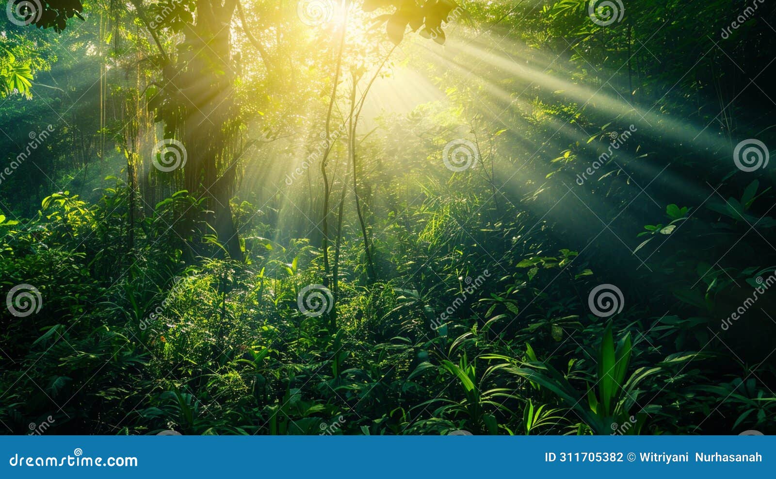 Summer Jungle Forest Landscape with Magic Sunlight Beam. Generative Ai ...