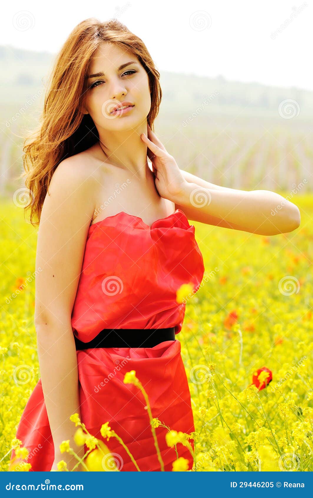 Summer lady stock image. Image of blooming, leisure, caucasian - 29446205