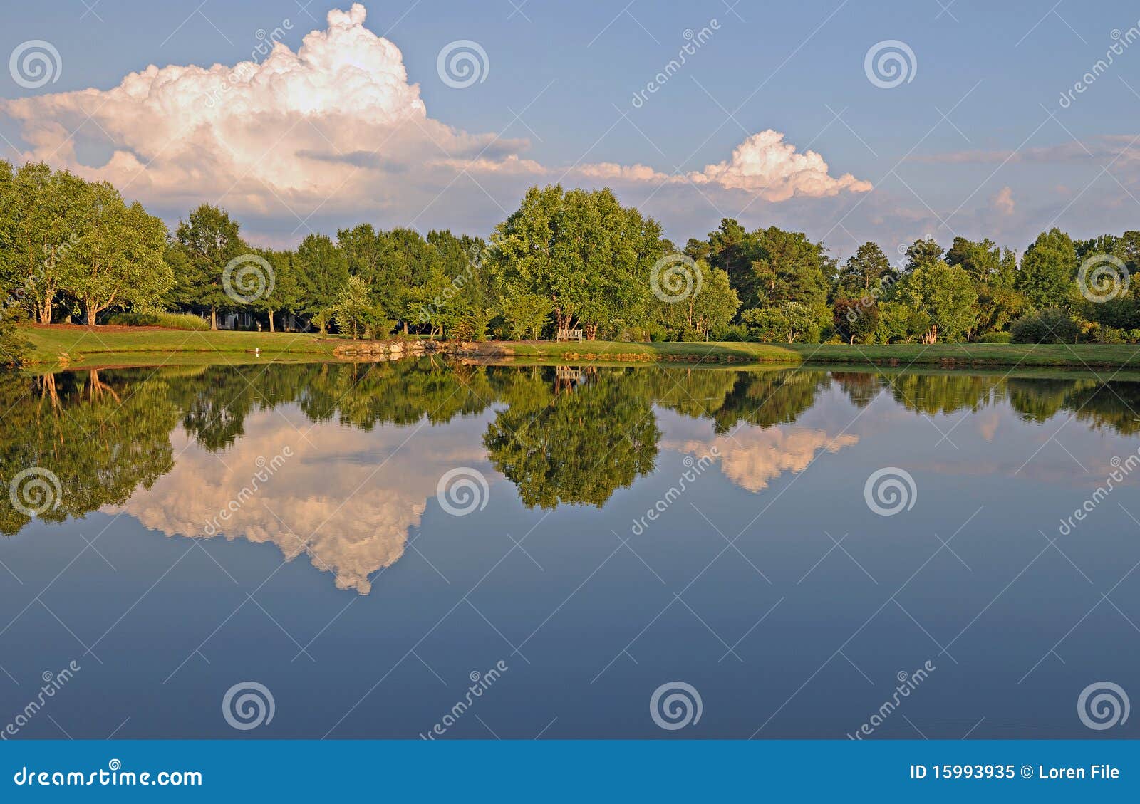 Summer Lake stock image. Image of leaves, blue, trees - 15993935