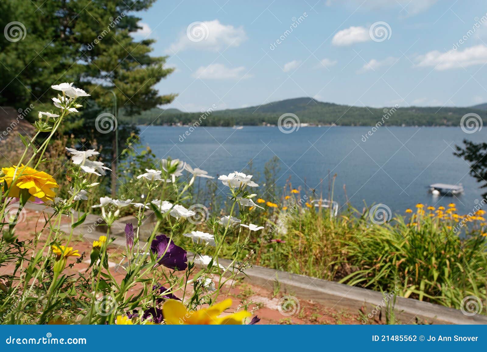 Summer at the lake stock photo. Image of patio, trees - 21485562