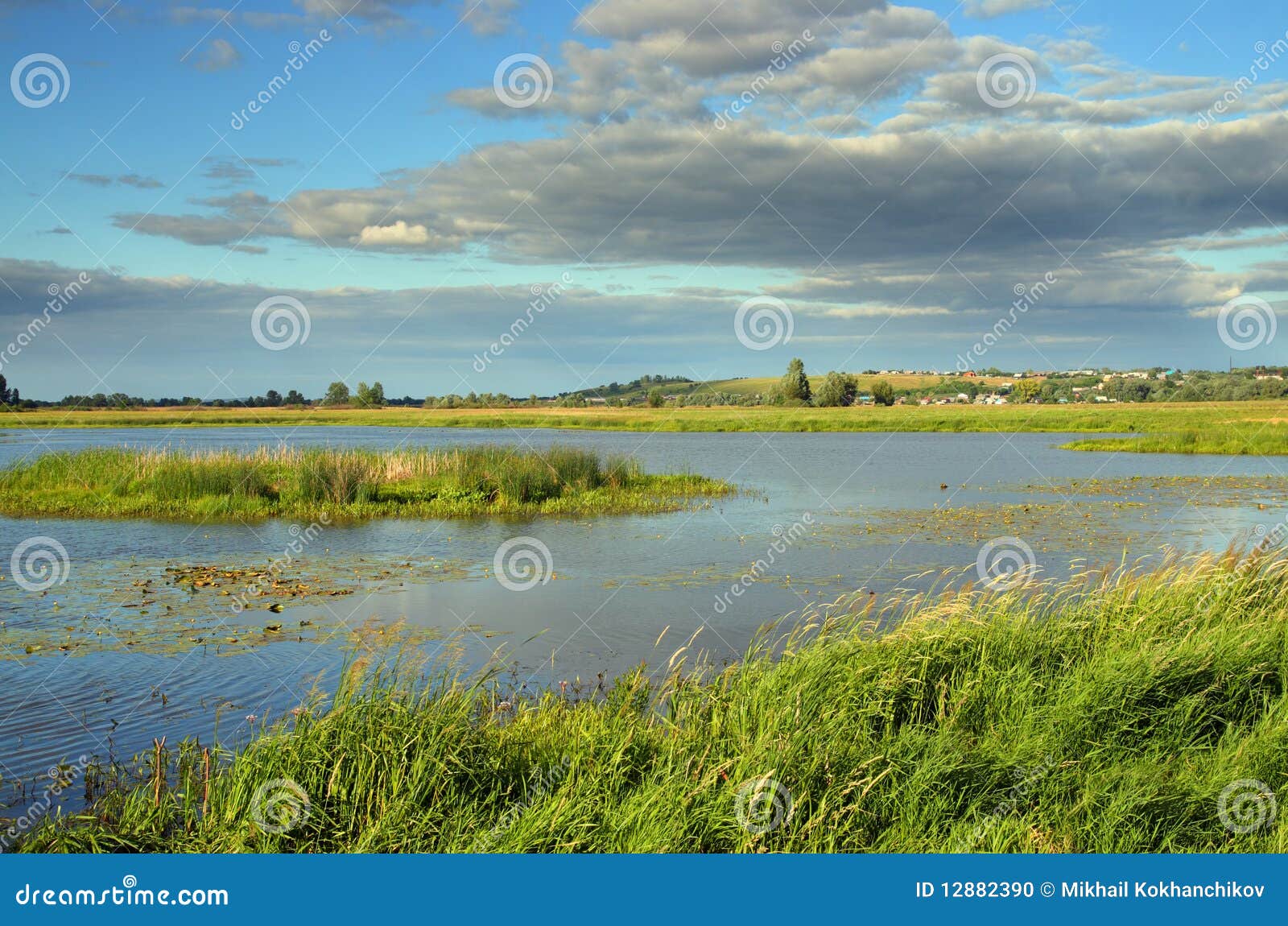 Summer lake landscape stock photo. Image of morass, descriptive - 12882390