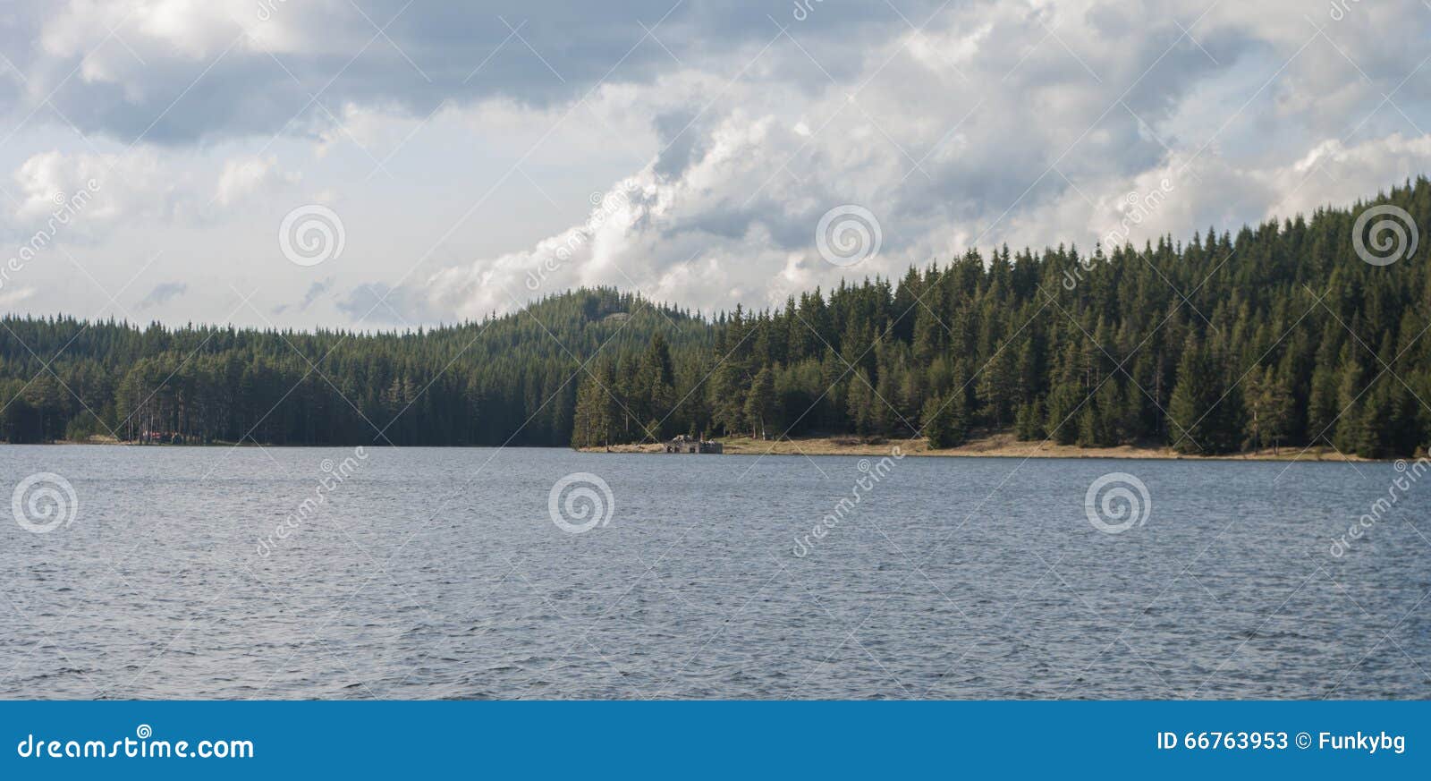 Summer lake landscape stock image. Image of light, river - 66763953