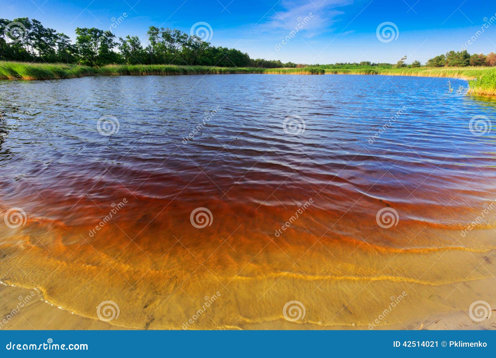 Summer on lake stock image. Image of beautiful, sunset - 42514021