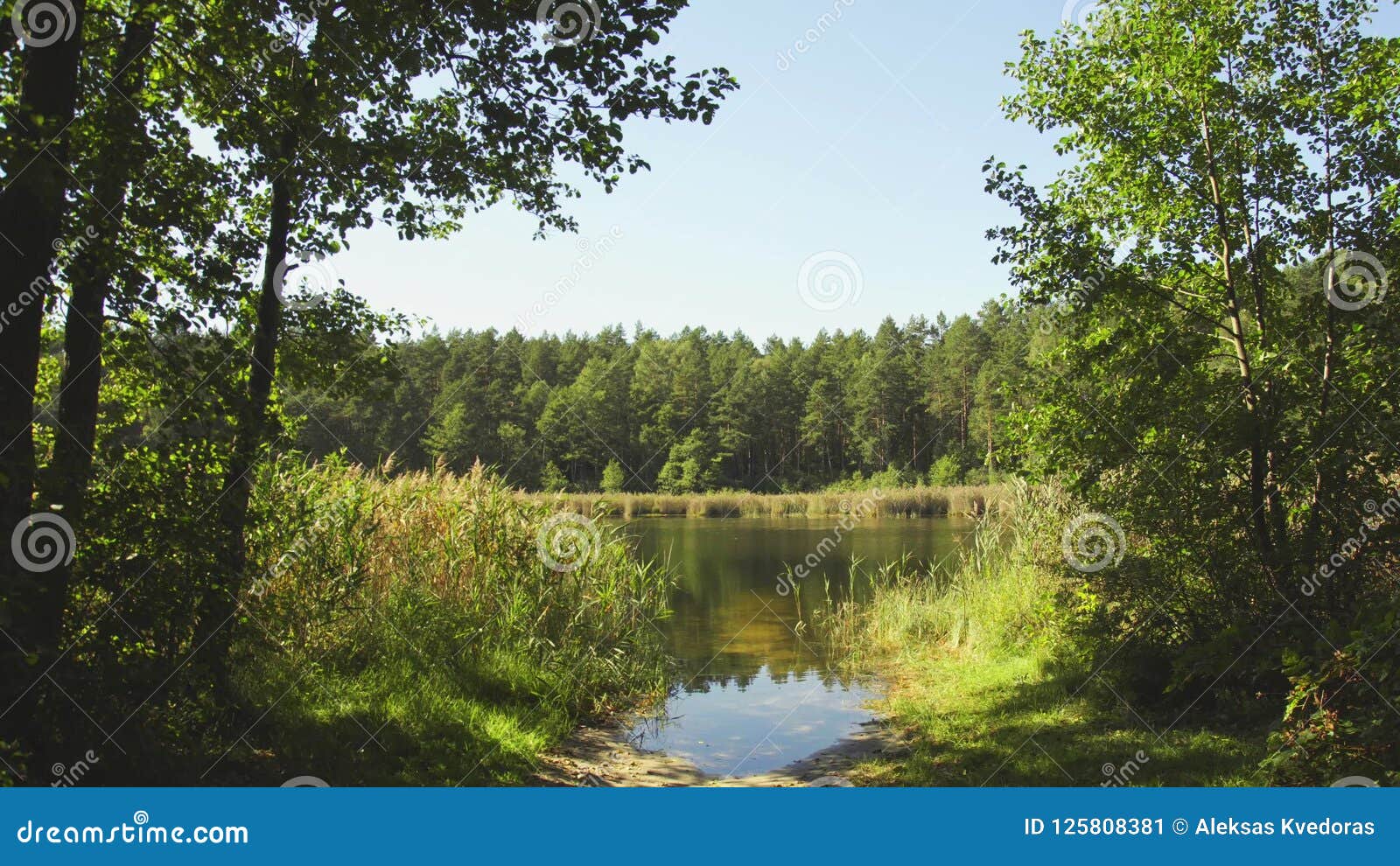 Summer Lake, a Static Frame Stock Video - Video of park, frame: 125808381