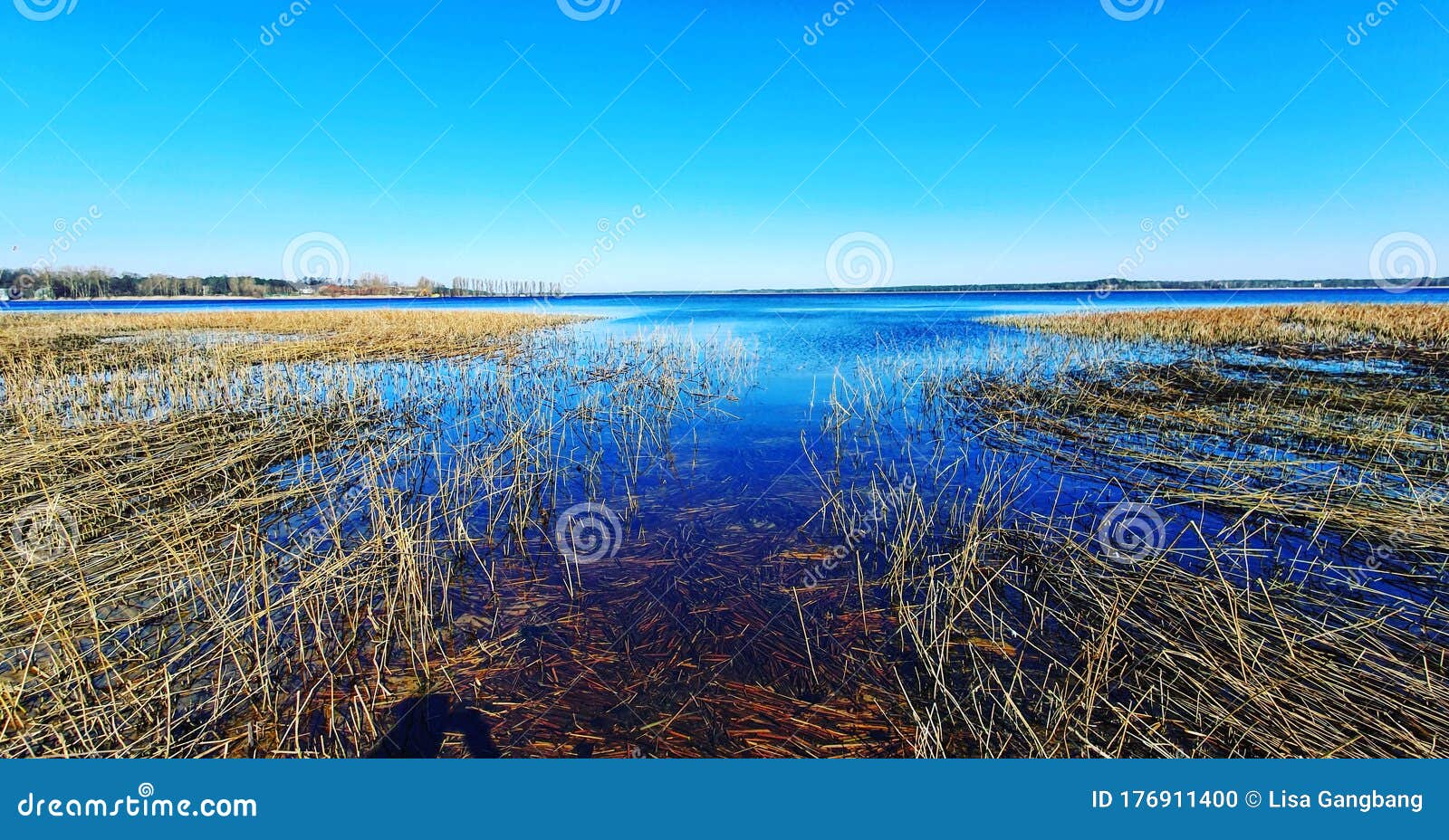 Summer Lake Sunny Nature No Filter Stock Photo - Image of filter ...