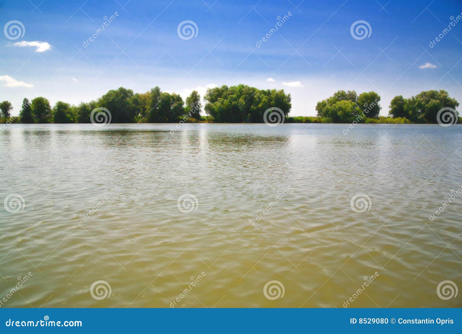 Summer lake view stock photo. Image of tranquil, trees - 8529080