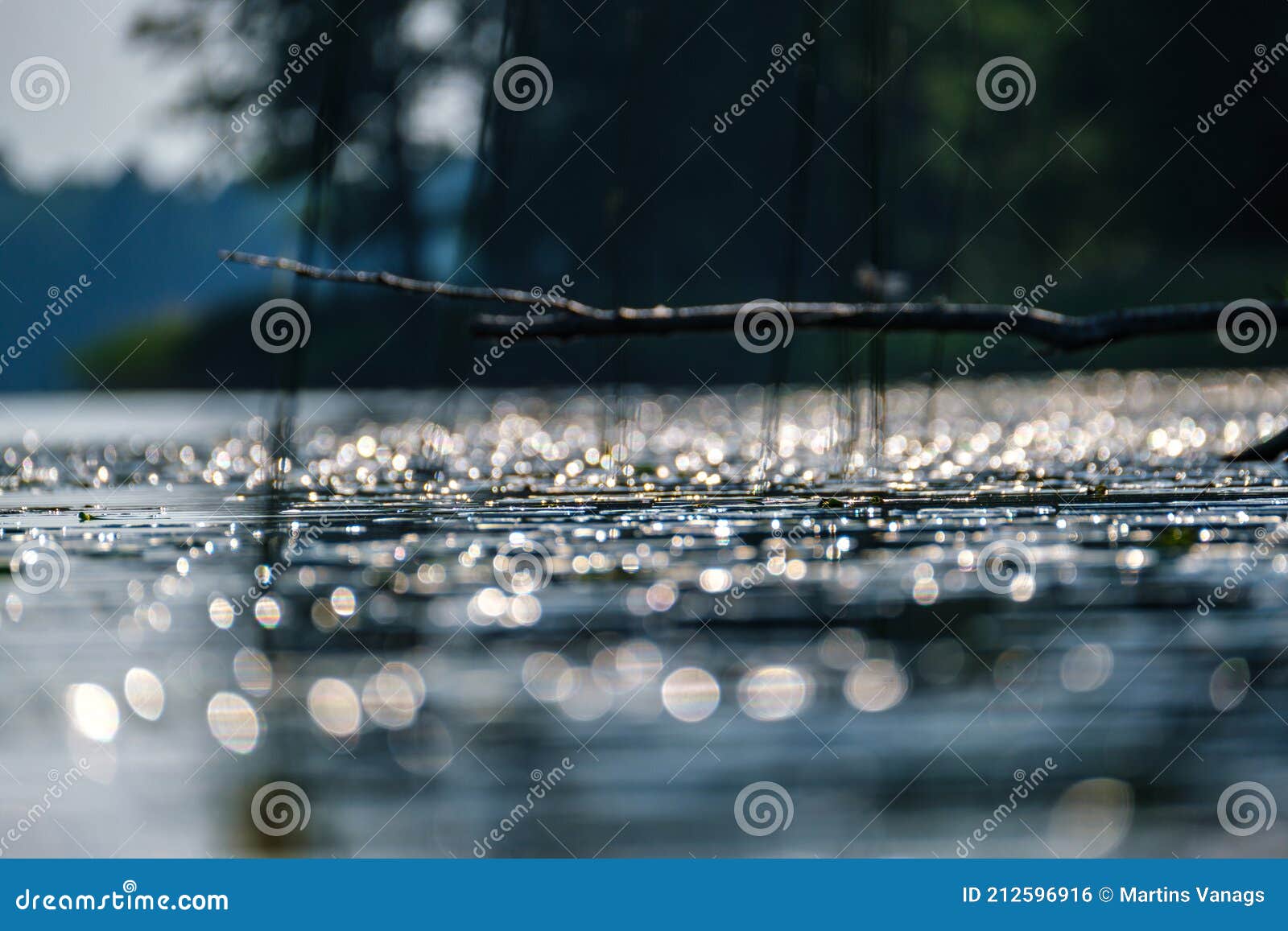 Summer Lake Water Surface Abstract from Low Point of View Stock Photo ...