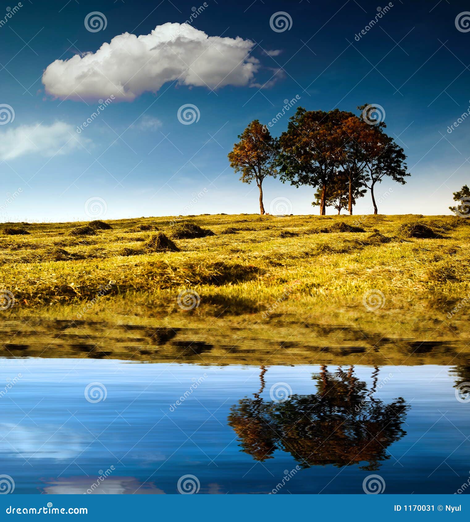 Summer landscape stock image. Image of pool, heaven, nature - 1170031