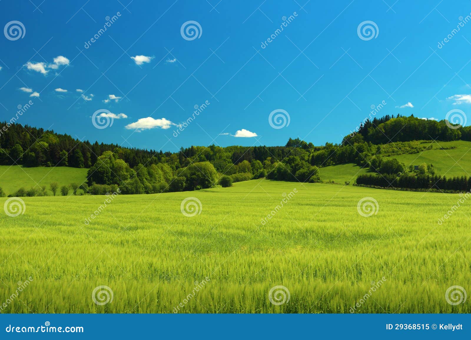 Summer landscape stock image. Image of grass, hill, color - 29368515