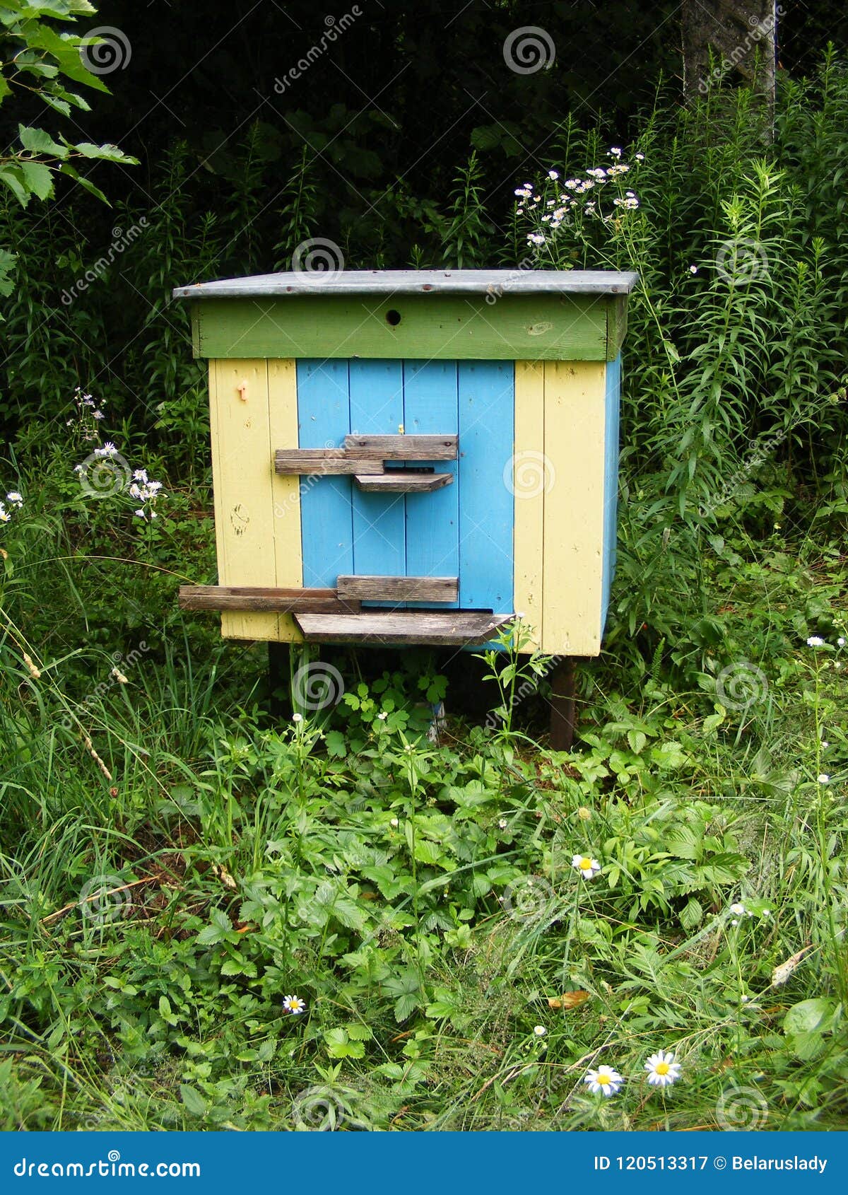 Summer landscape. Apiary stock image. Image of apitherapy - 120513317