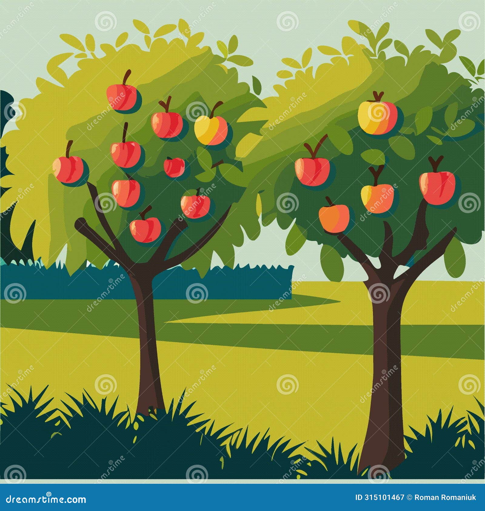 Summer Landscape Apple Orchard Grden with Apple Trees Vector ...