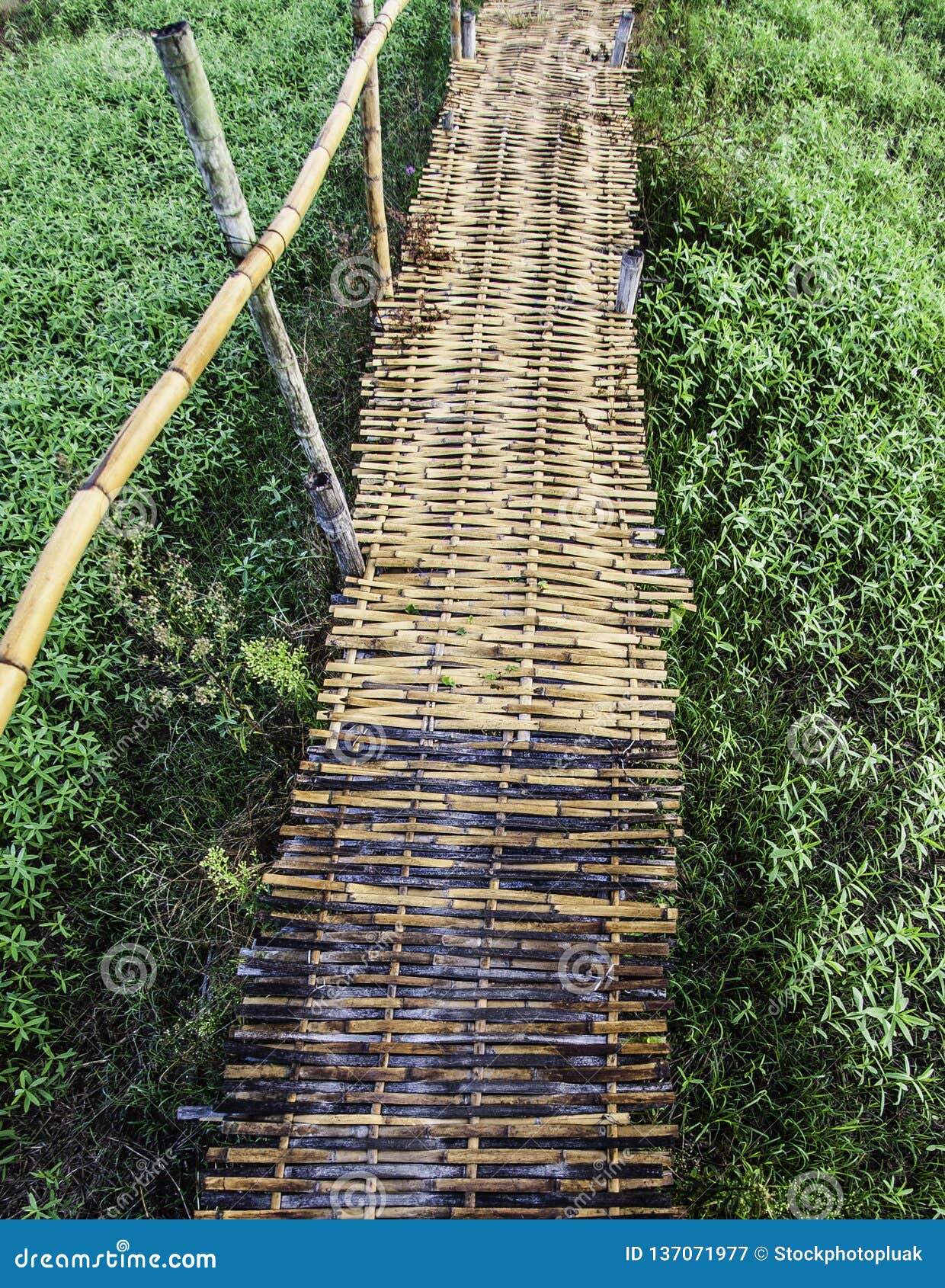 Summer Landscape Bamboo Walkway Field and Clouds Stock Image - Image of ...