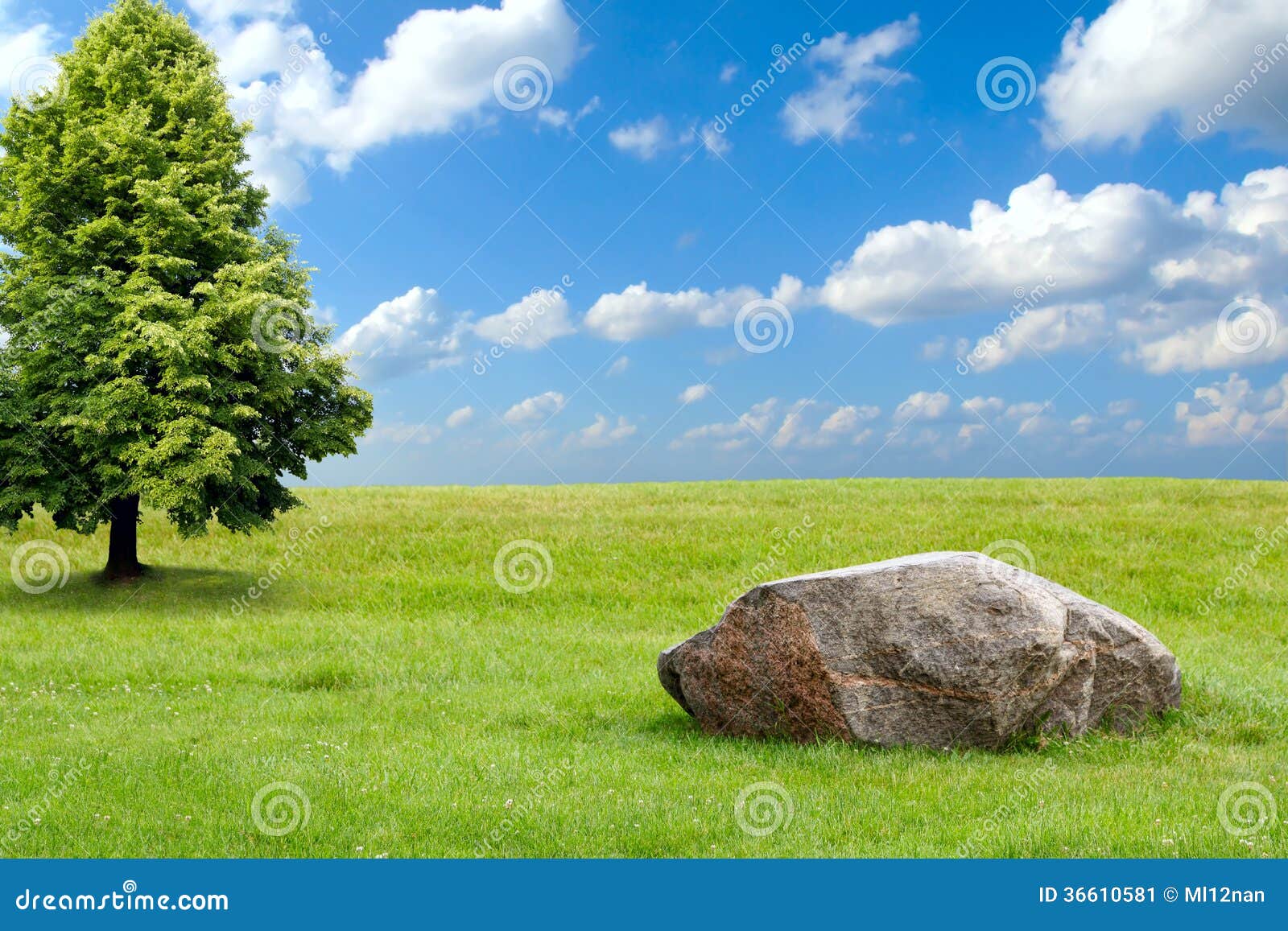 Summer Landscape stock image. Image of landscape, field - 36610581