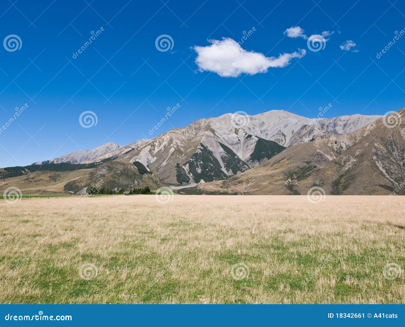 Summer landscape blue sky stock image. Image of clouds - 18342661