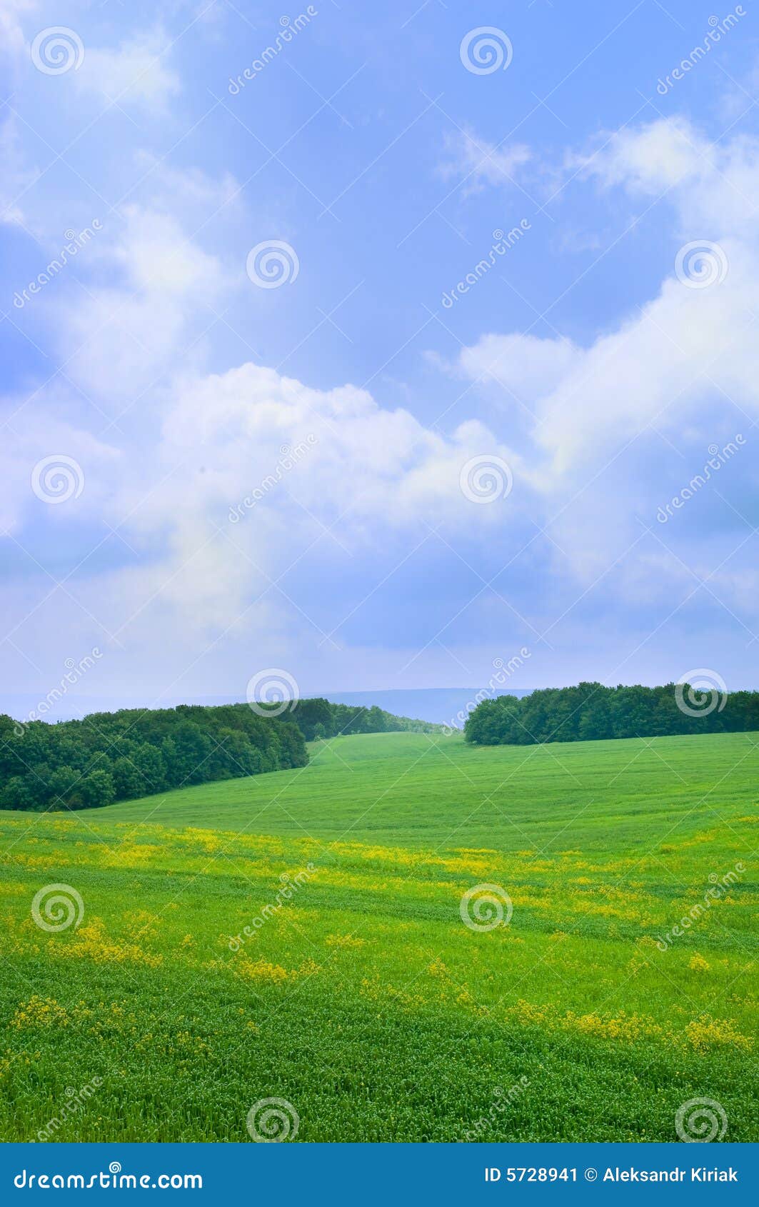Summer Landscape with Blue Sky Stock Image - Image of perfect, rural ...