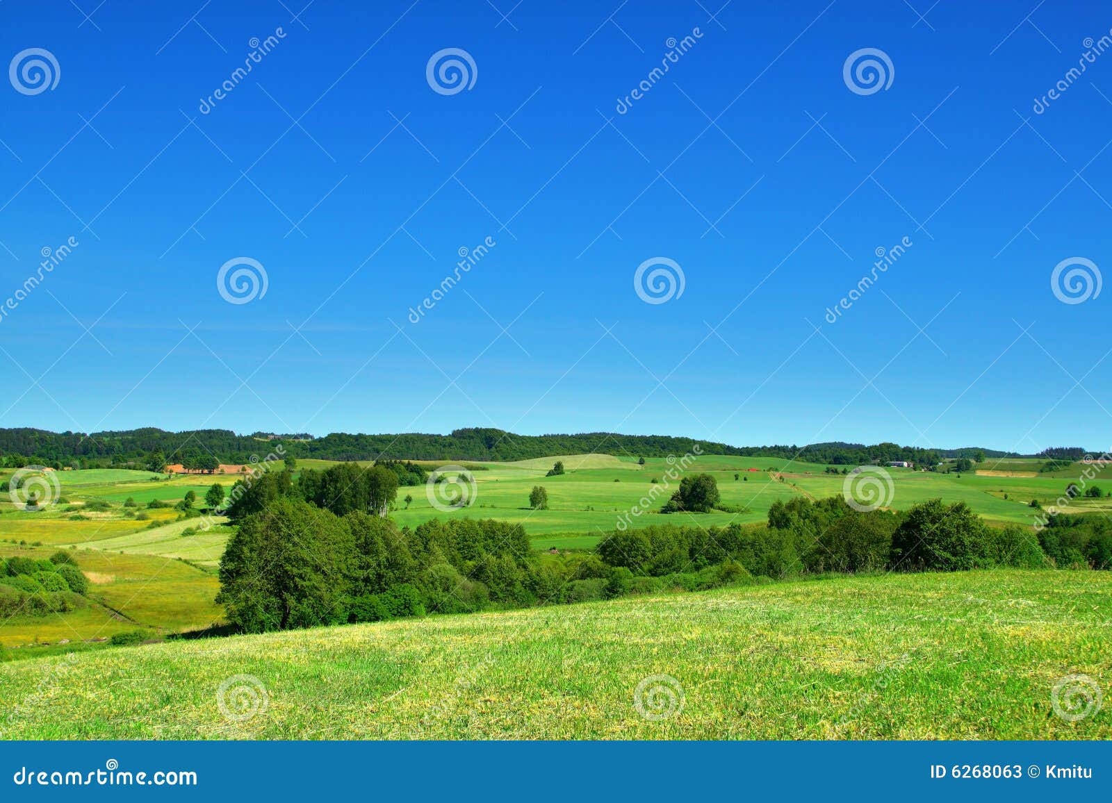 Summer Landscape with Blue Sky Stock Image - Image of farming, bushes ...