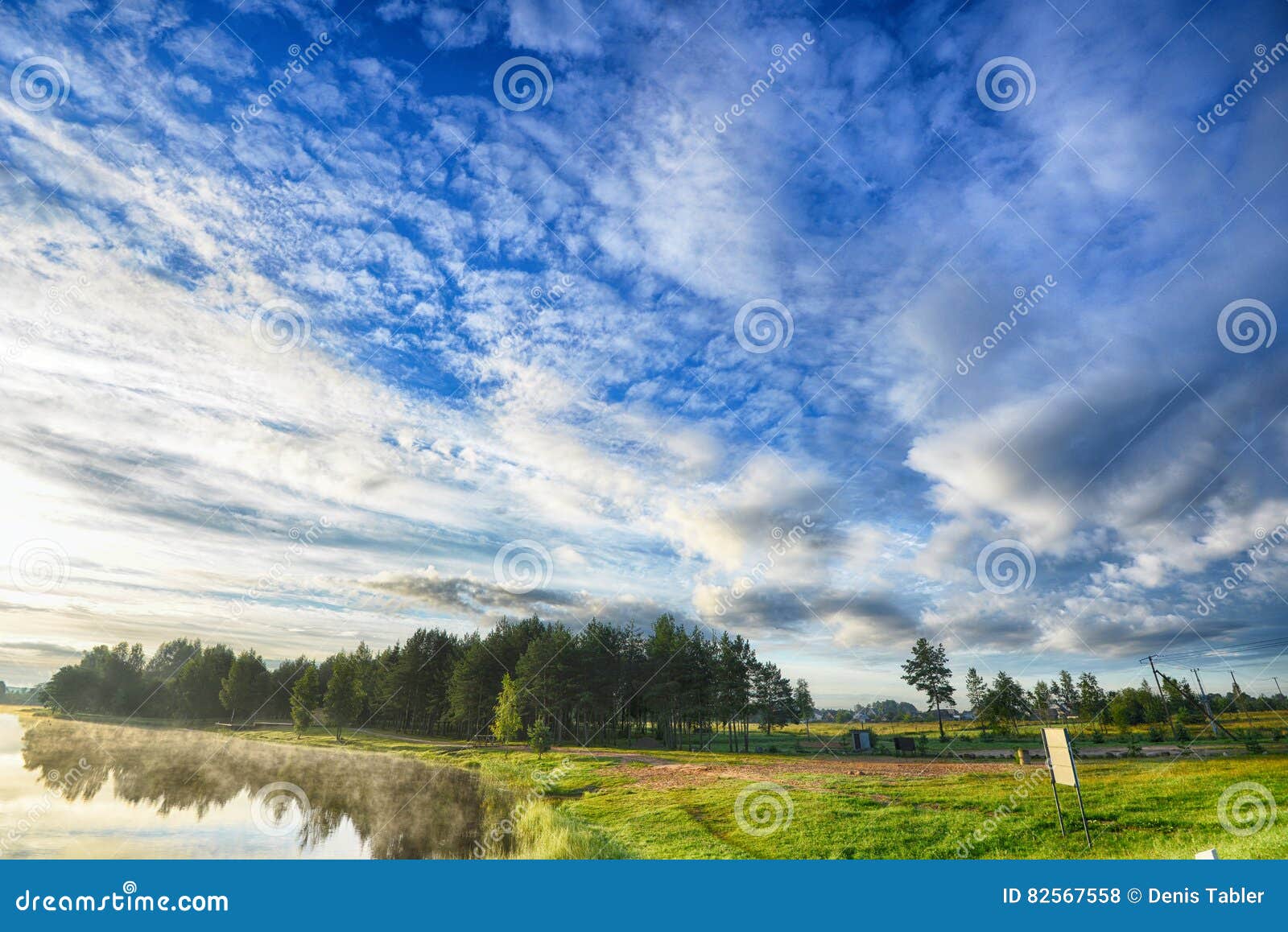 Summer landscape. stock photo. Image of forest, beautiful - 82567558
