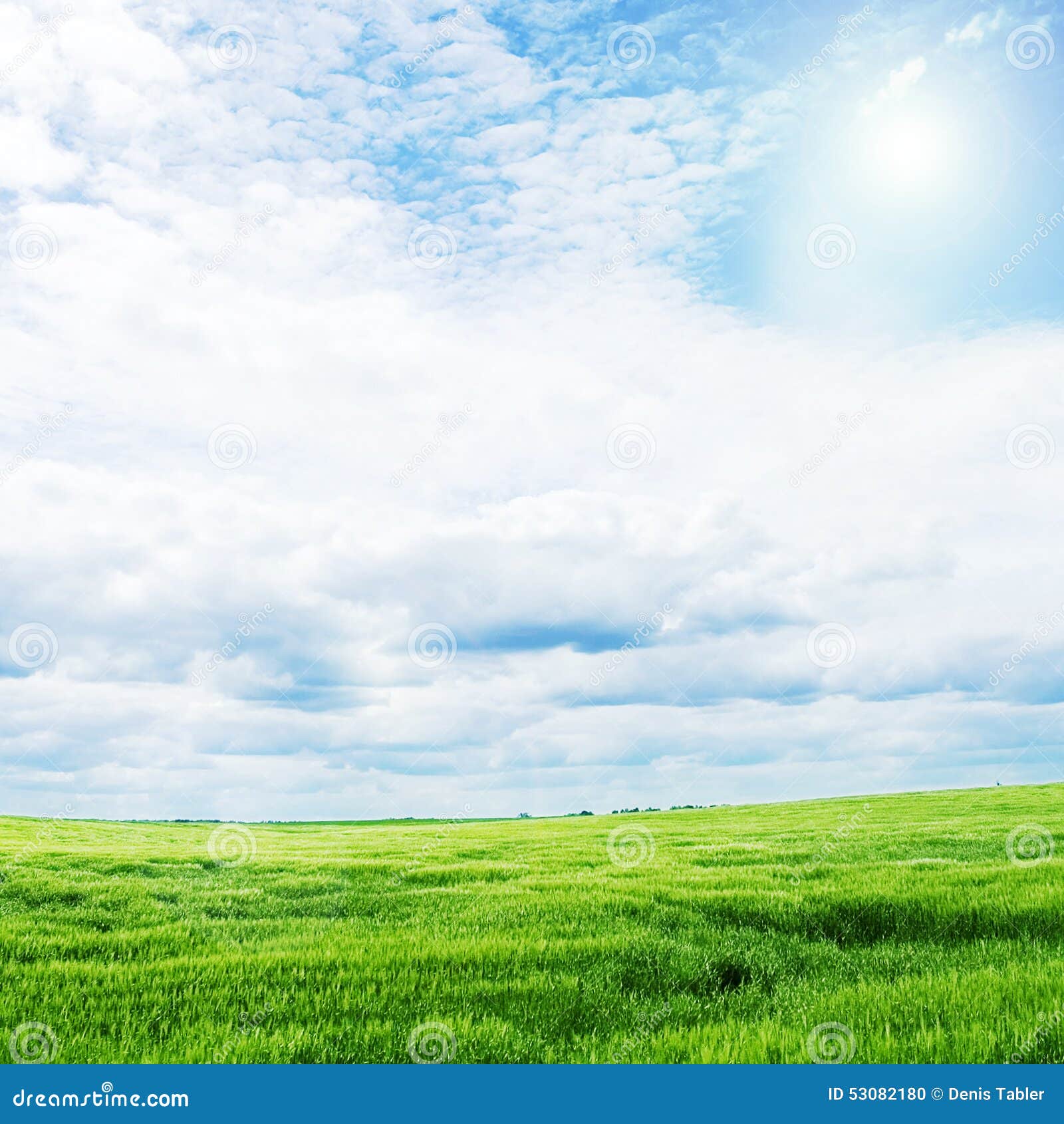 Summer landscape stock photo. Image of landscape, cloudly - 53082180