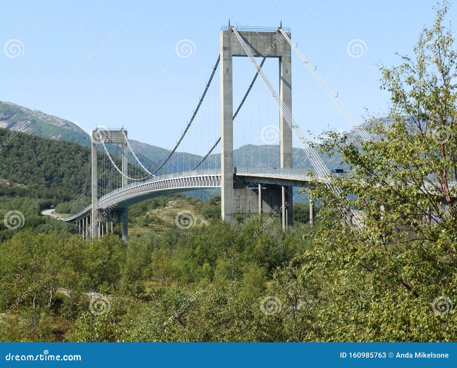 Summer Landscape with a Bridge Over Tree Tops Stock Image - Image of ...
