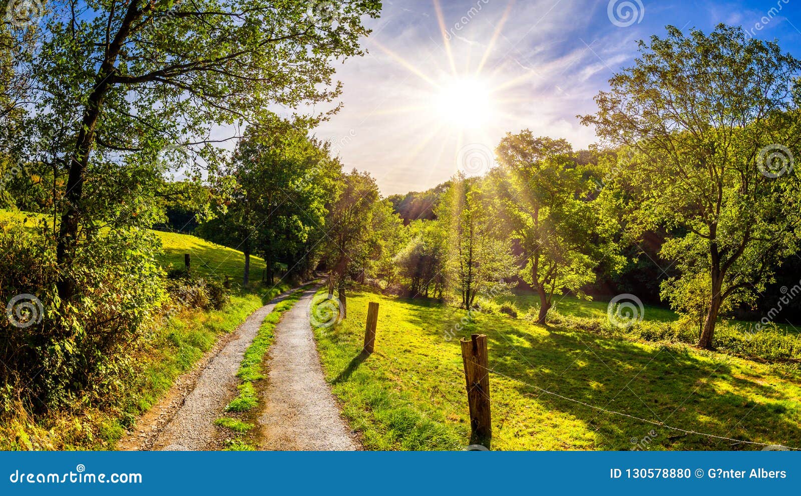 Summer Landscape with Bright Sun Stock Photo - Image of autumn, plant ...