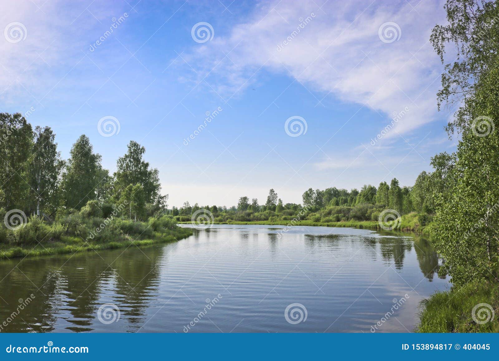 Landscape With A Calm Water Surface, Water Lilies And Reeds ...