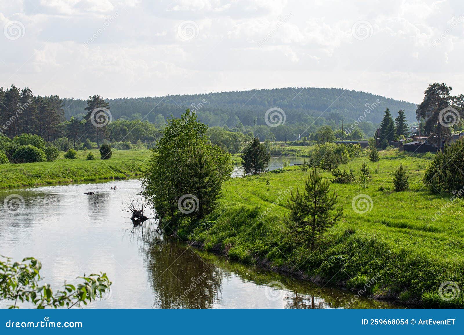 Summer Landscape - Calm River Water Stock Photo - Image of landscape ...