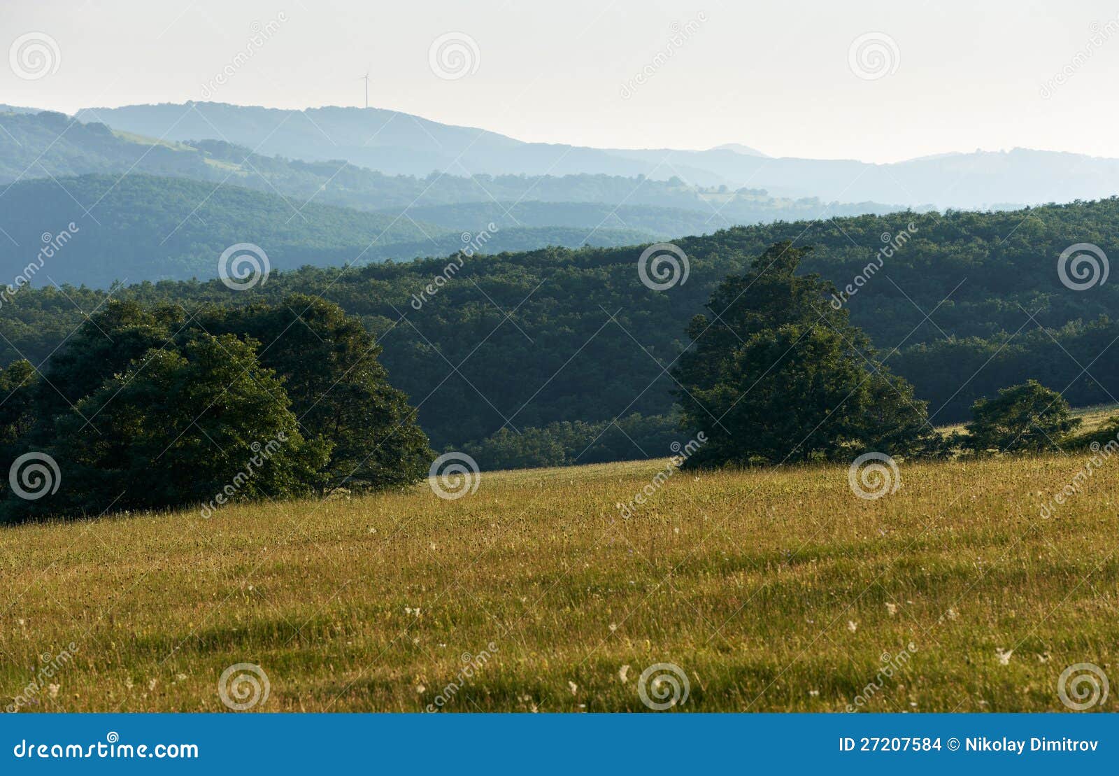 Summer Landscape from Central Bulgaria Stock Photo - Image of tree ...