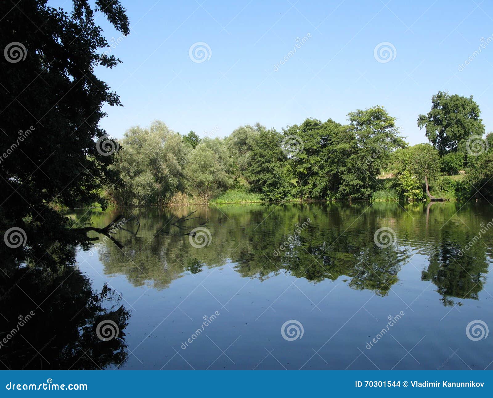 Summer landscape stock photo. Image of cloudless, sunny - 70301544