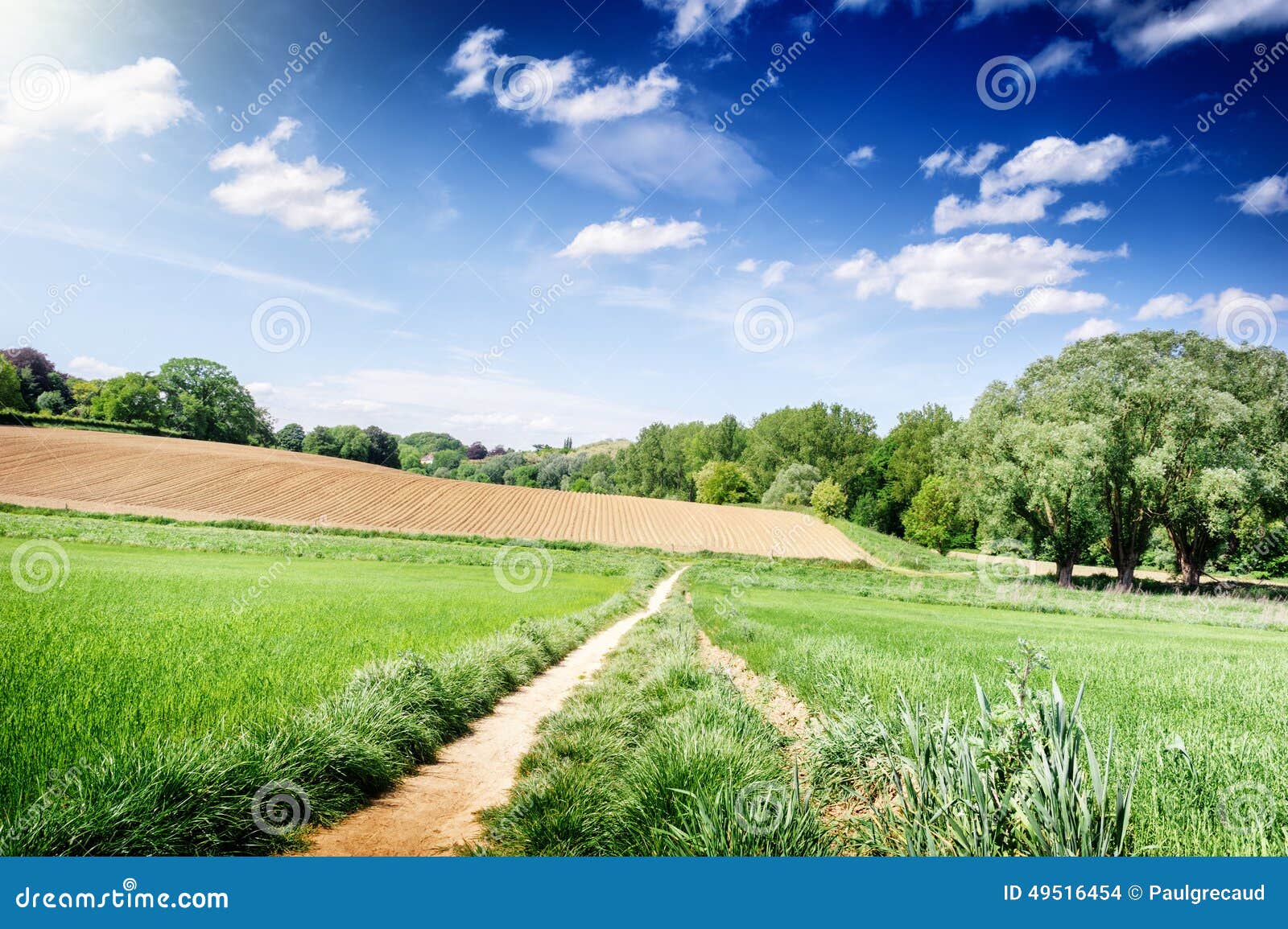 Summer Landscape with Countryside Fields Stock Photo - Image of green ...