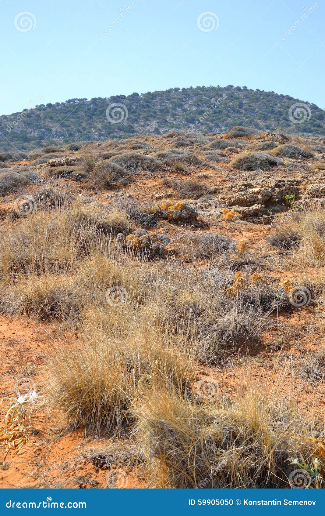 Summer landscape in Crete. stock photo. Image of dried - 59905050
